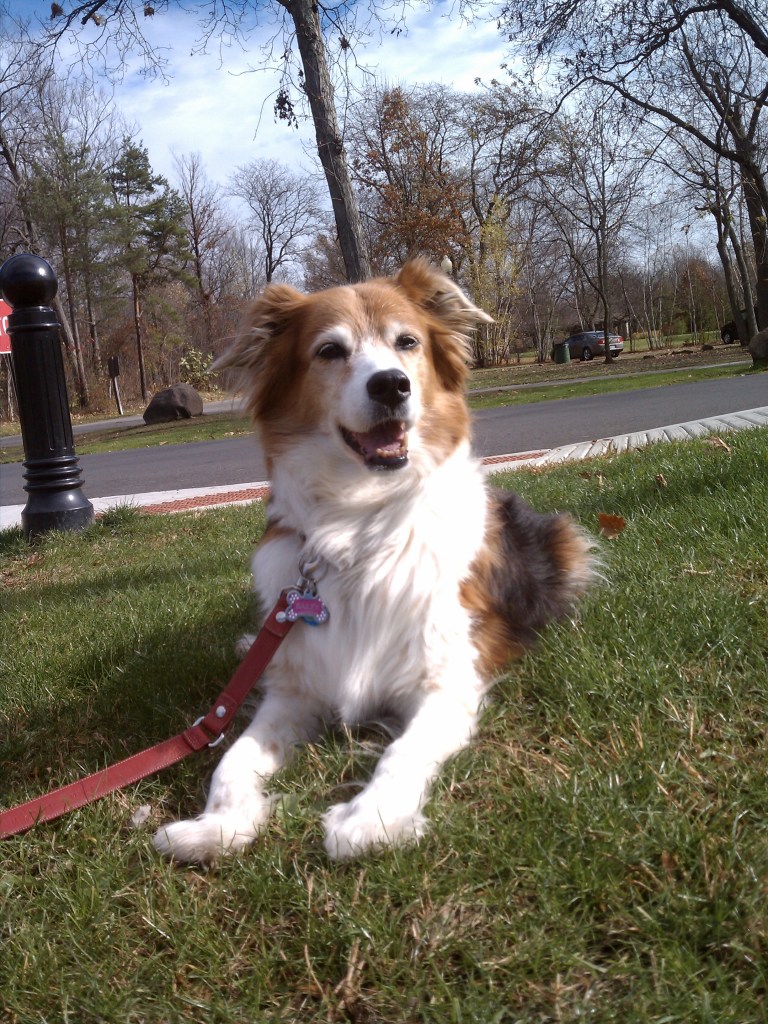 birthday kisses | Bailey's Journal